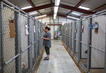Why locals are taking their pets to this Gig Harbor prison | Seattle ...