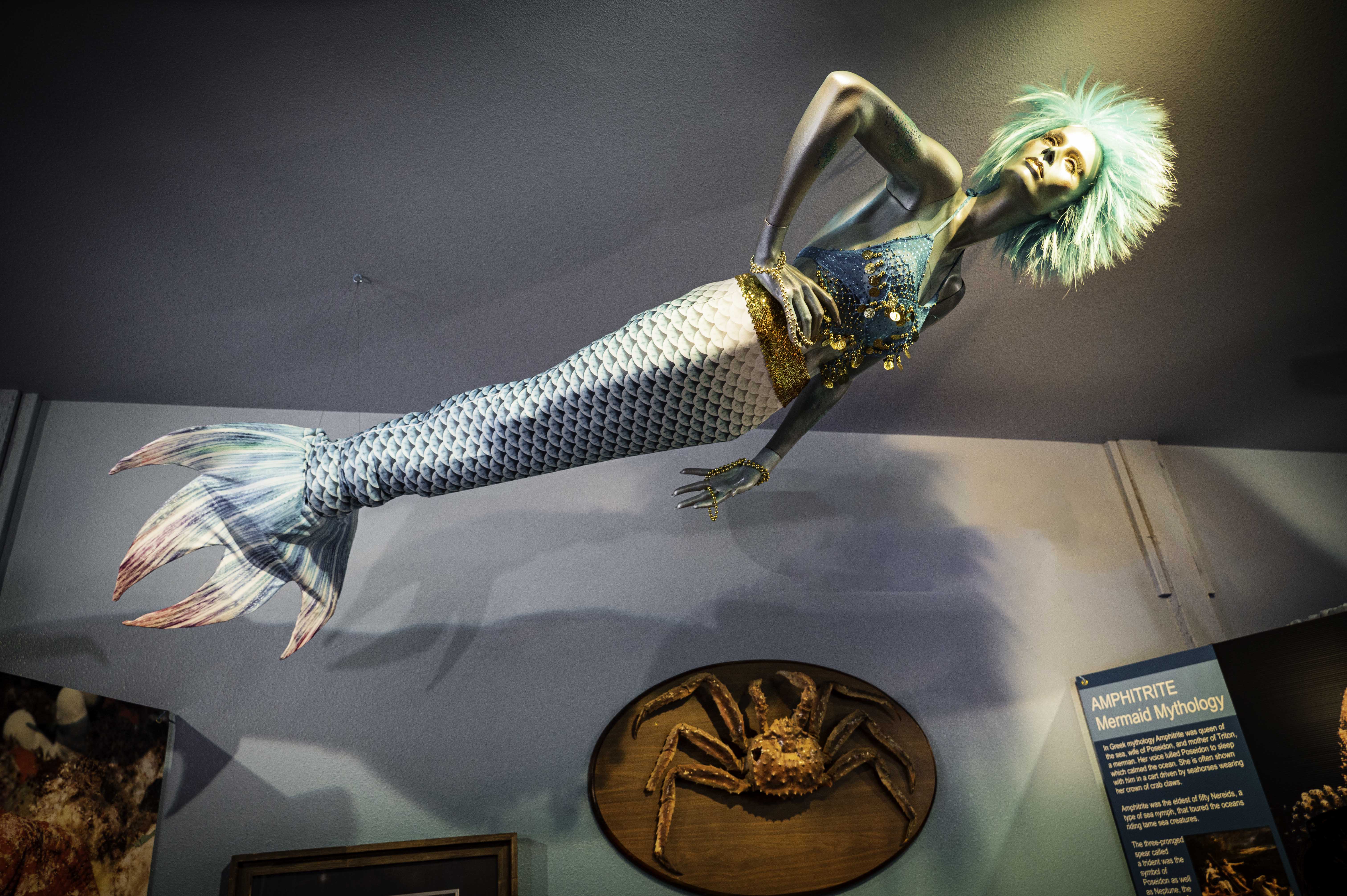 International Mermaid Museum opens in Westport, WA | Seattle Refined