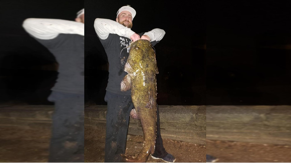 Pennsylvania man breaks state record, reels in 56-pound flathead ...