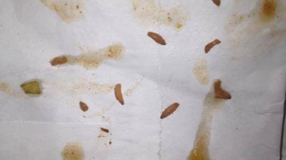 Pennsylvania dad kept 11 kids in filthy home full of maggots, feces and ...