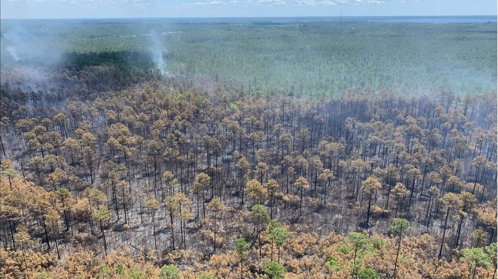 Five Mile Swamp fire grows by 100 acres, more than a dozen tractors ...